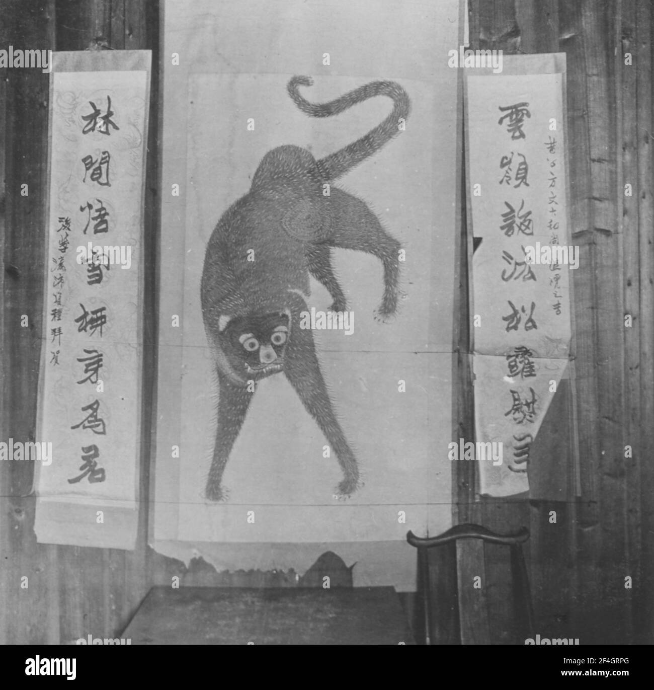 Drawing of a monkey [1908], China, Hangzhou (China), Zhejiang Sheng ...