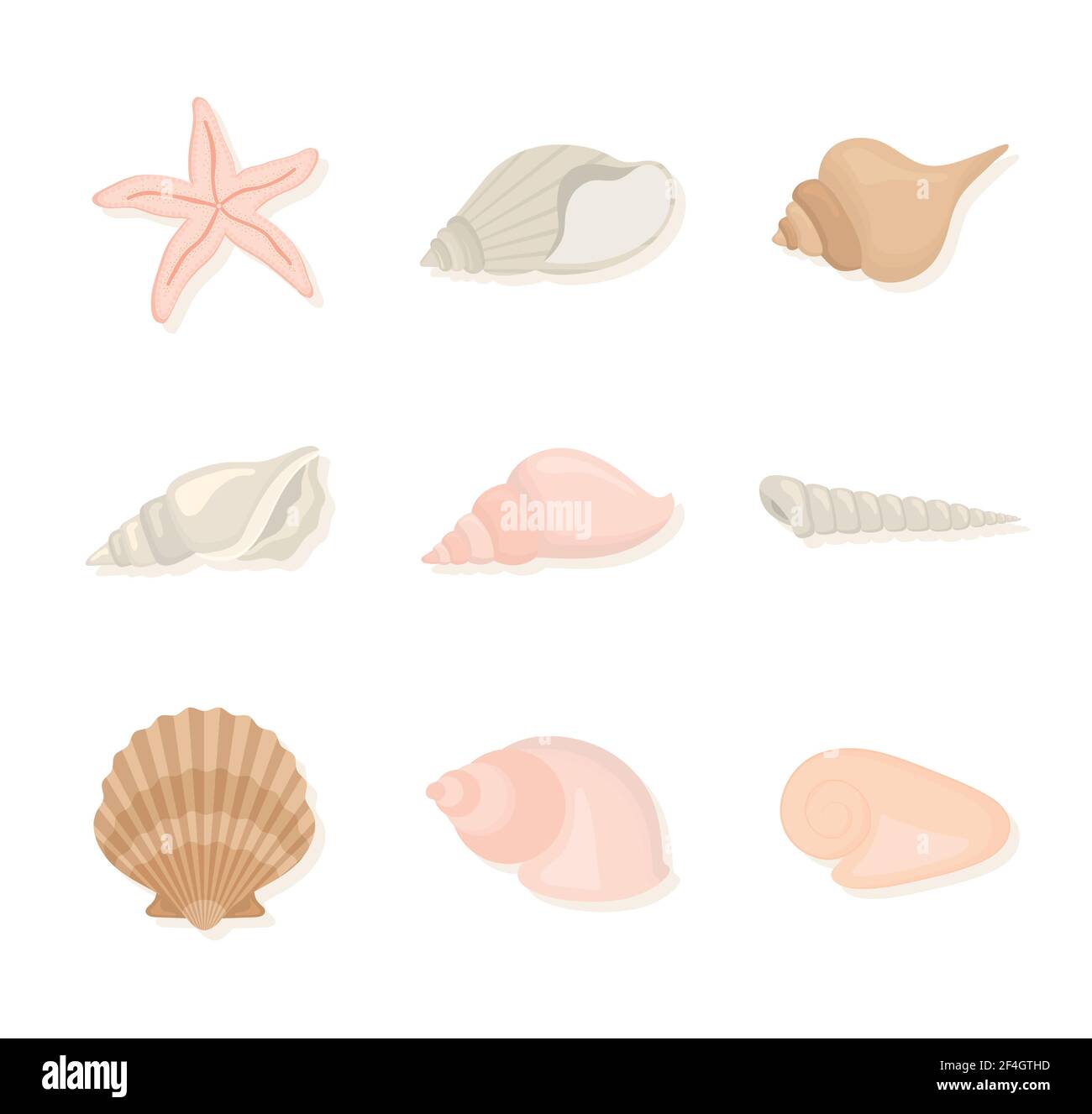 Shells of clams Stock Vector Images - Alamy