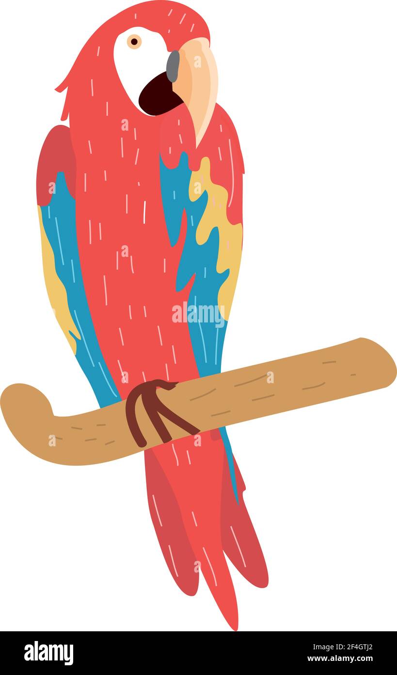 macaw on branch hand drawn Stock Vector Image & Art - Alamy