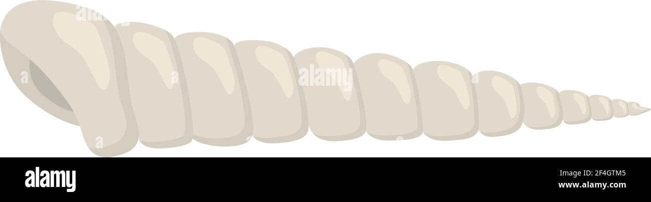 spiral seashell isolated Stock Vector Image & Art - Alamy