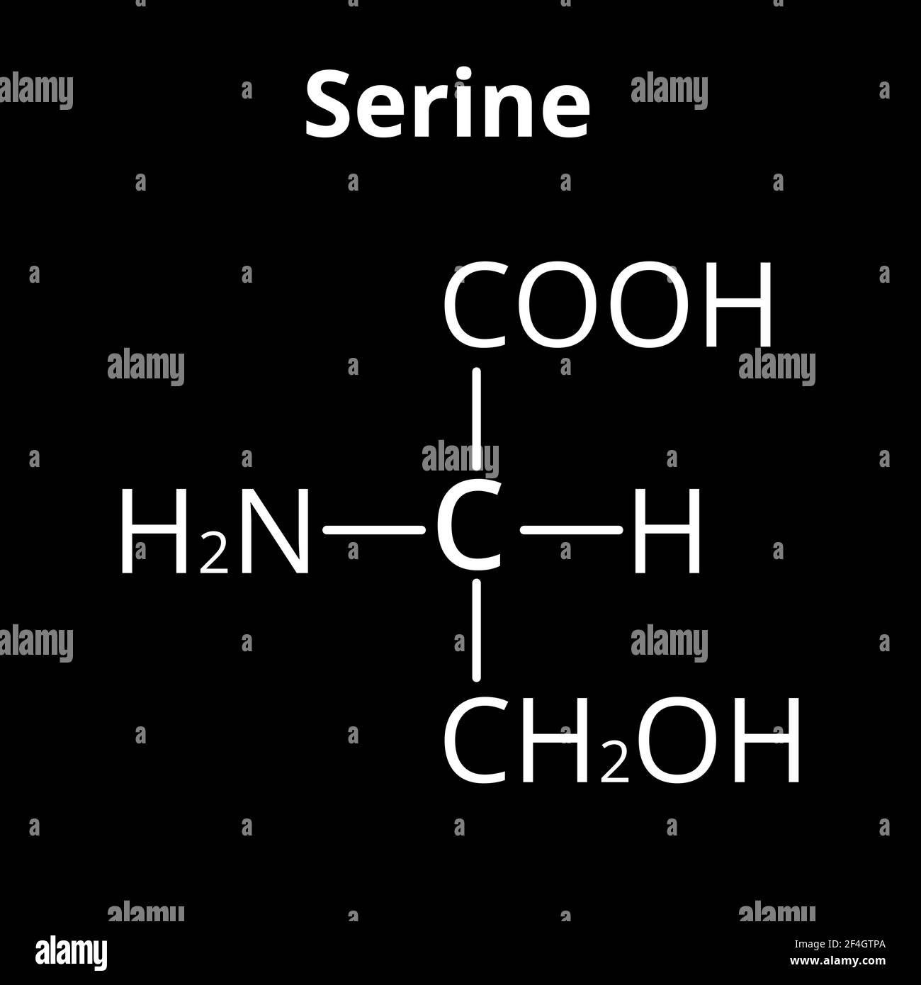 Serine amino acid. Chemical molecular formula Serine amino acid. Vector ...