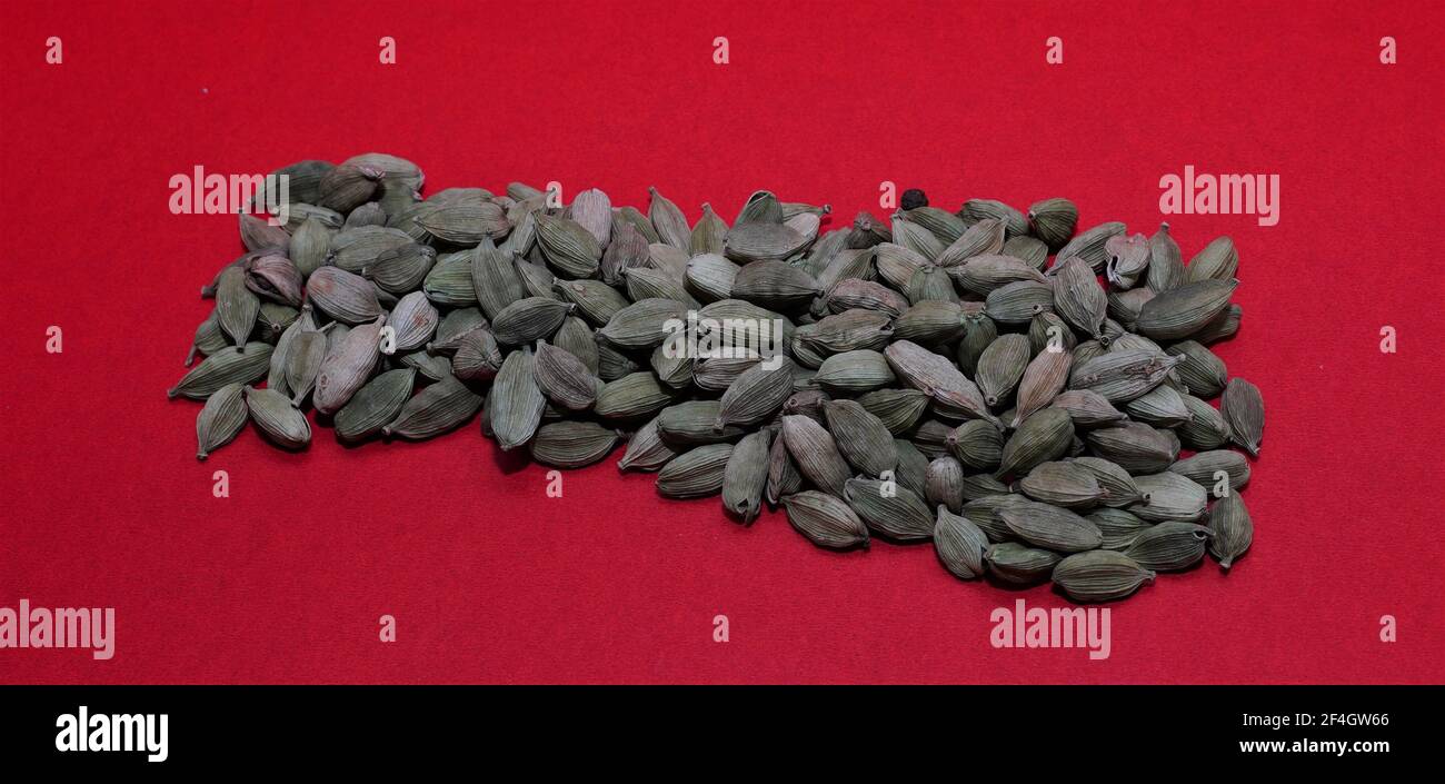 A top view of cardamom seeds isolated on the red background Stock Photo ...