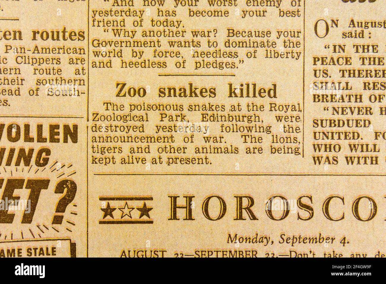 'Zoo snakes killed' headline in The Daily Express (replica), 4th ...