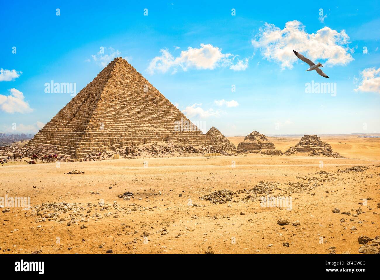Sunset over pyramids giza egypt hi-res stock photography and images - Alamy