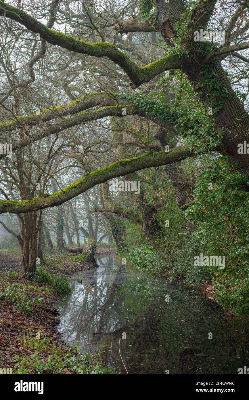 Misty morning english countryside hi-res stock photography and images ...