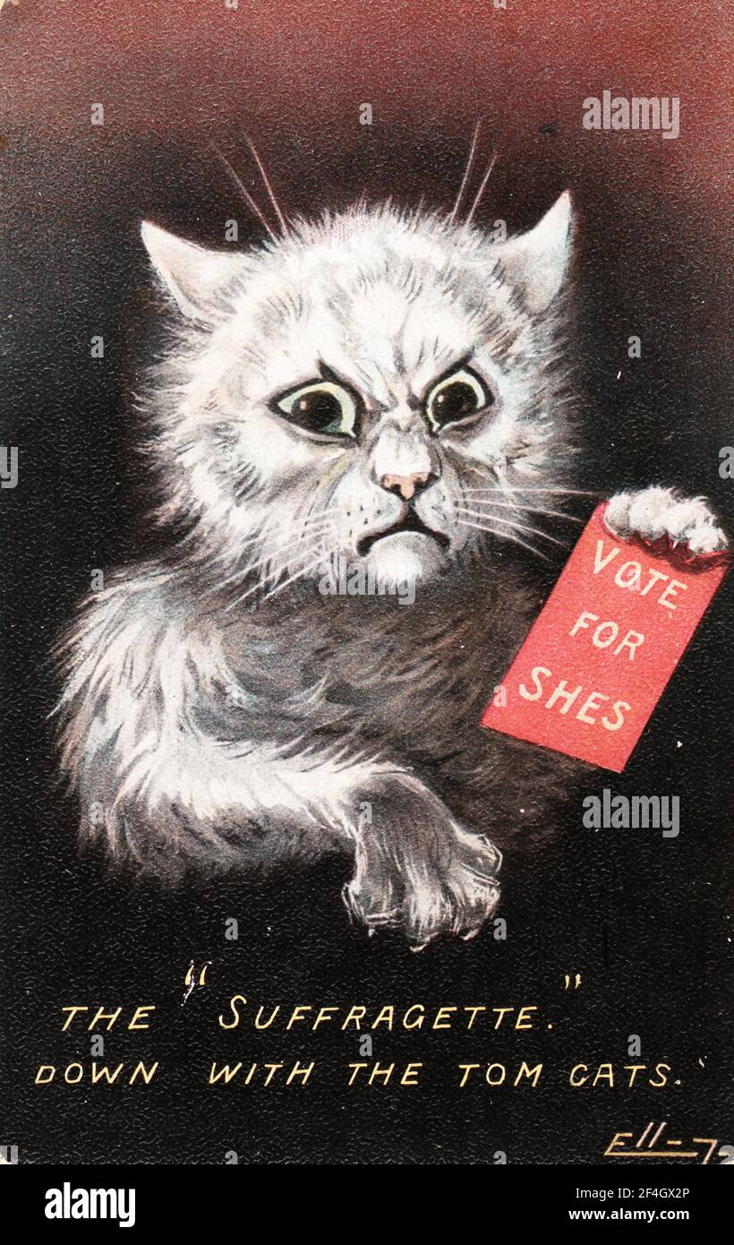 Anti-suffrage postcard, with an image of an angry white cat holding a ...