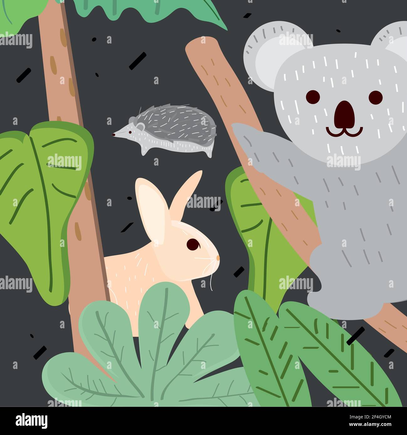 animals jungle tropical rabbit koala Stock Vector Image & Art - Alamy