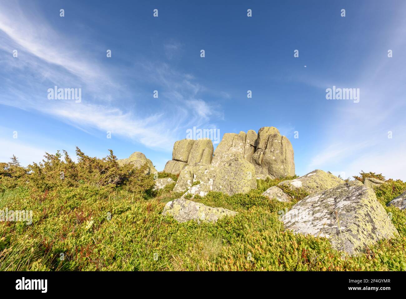 Granite rocks in the Vosges mountains in France Stock Photo - Alamy