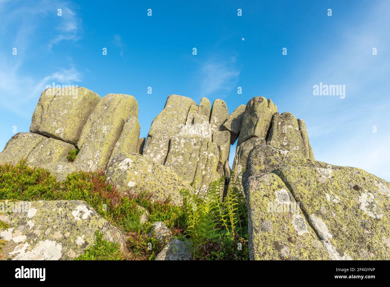 Granite rocks in the Vosges mountains in France Stock Photo - Alamy