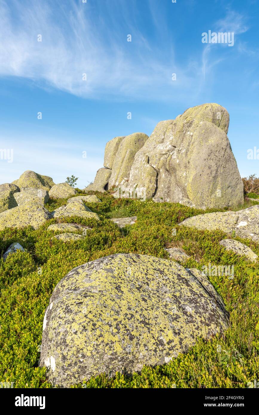 Granite rocks in the Vosges mountains in France Stock Photo - Alamy