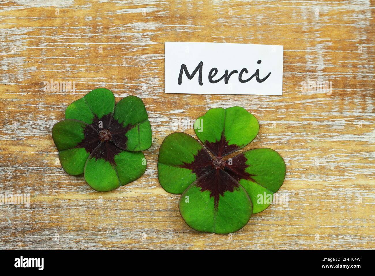 Thank you note in french hi-res stock photography and images - Alamy