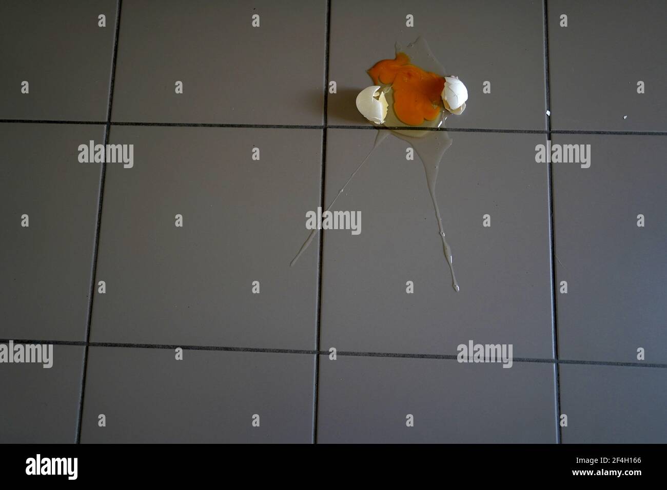 Broken egg on the ground with tiles with copy space. Small parts of the ...