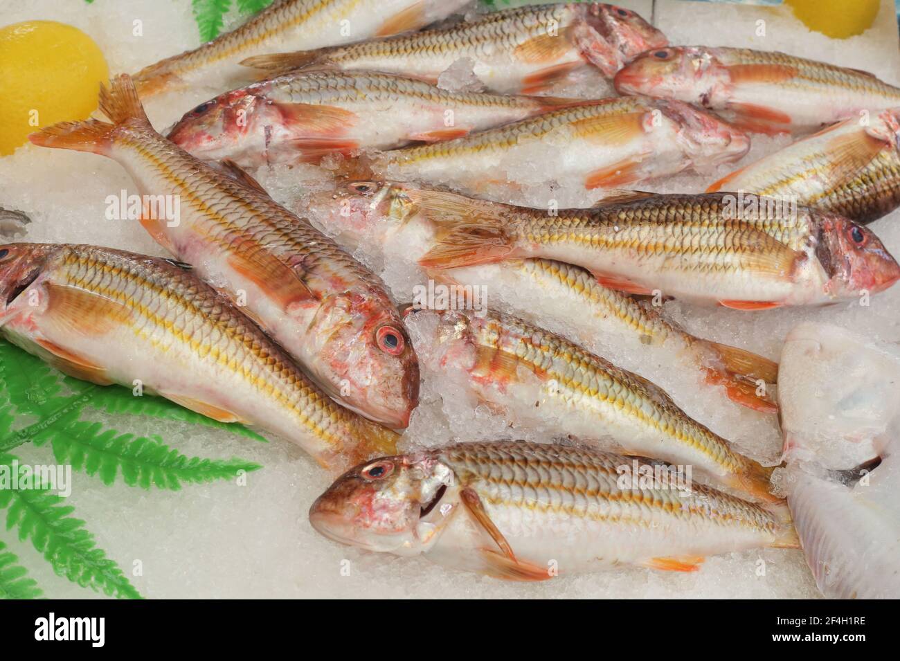 red mullet fish in the market Stock Photo - Alamy
