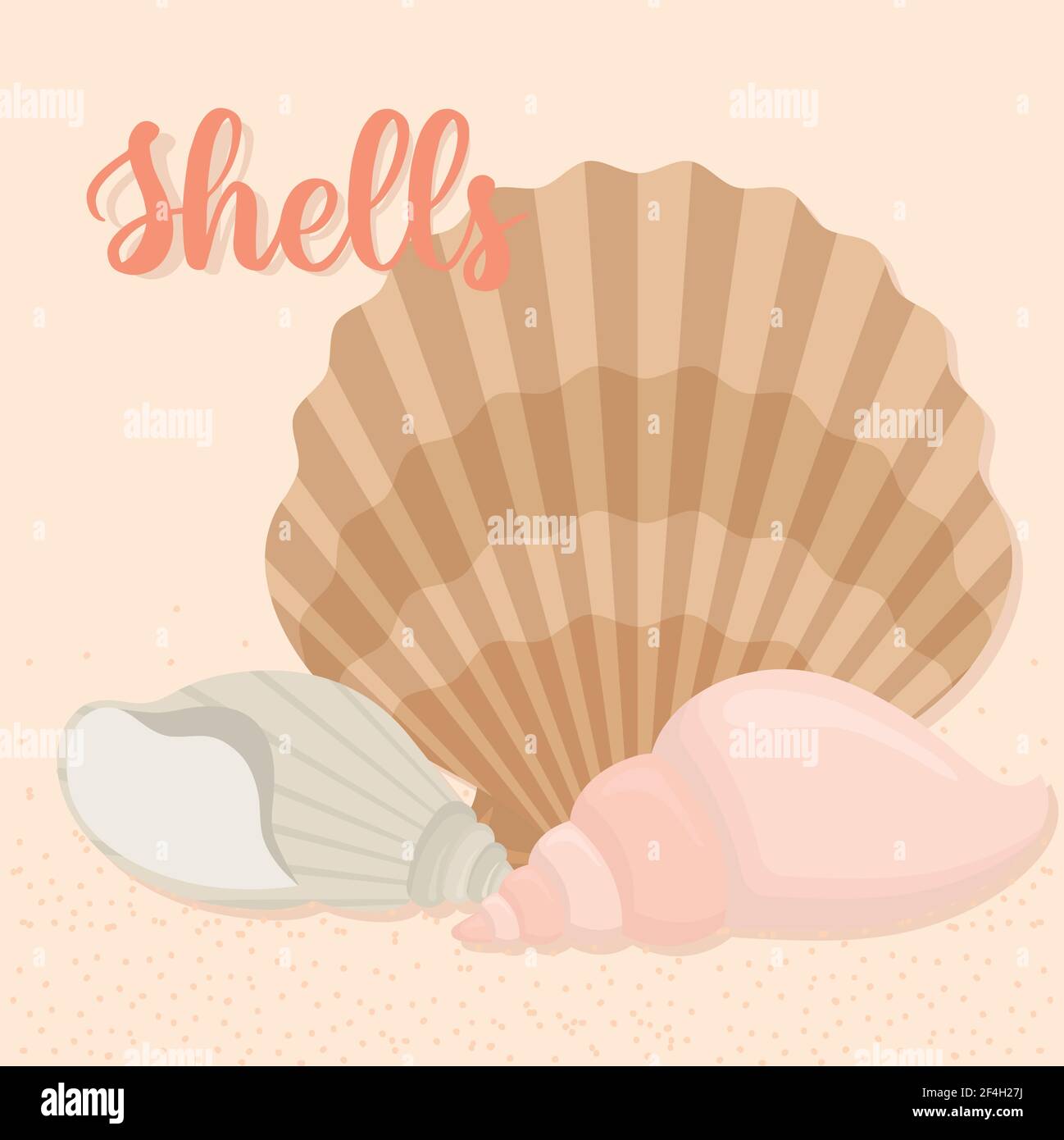 seashell icon bundle Stock Vector Image & Art - Alamy