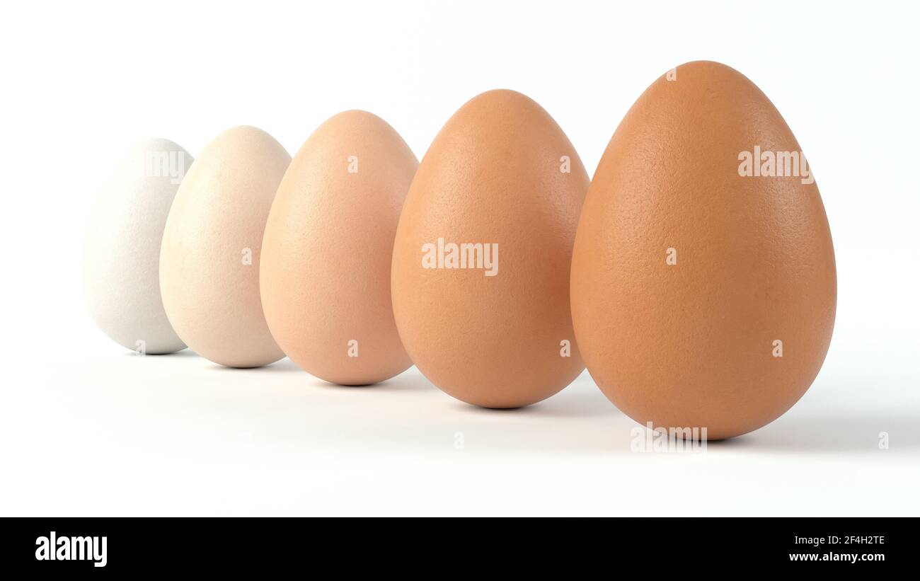 sorted five shades of egg. different colors of egg sorted in a row. 3d ...