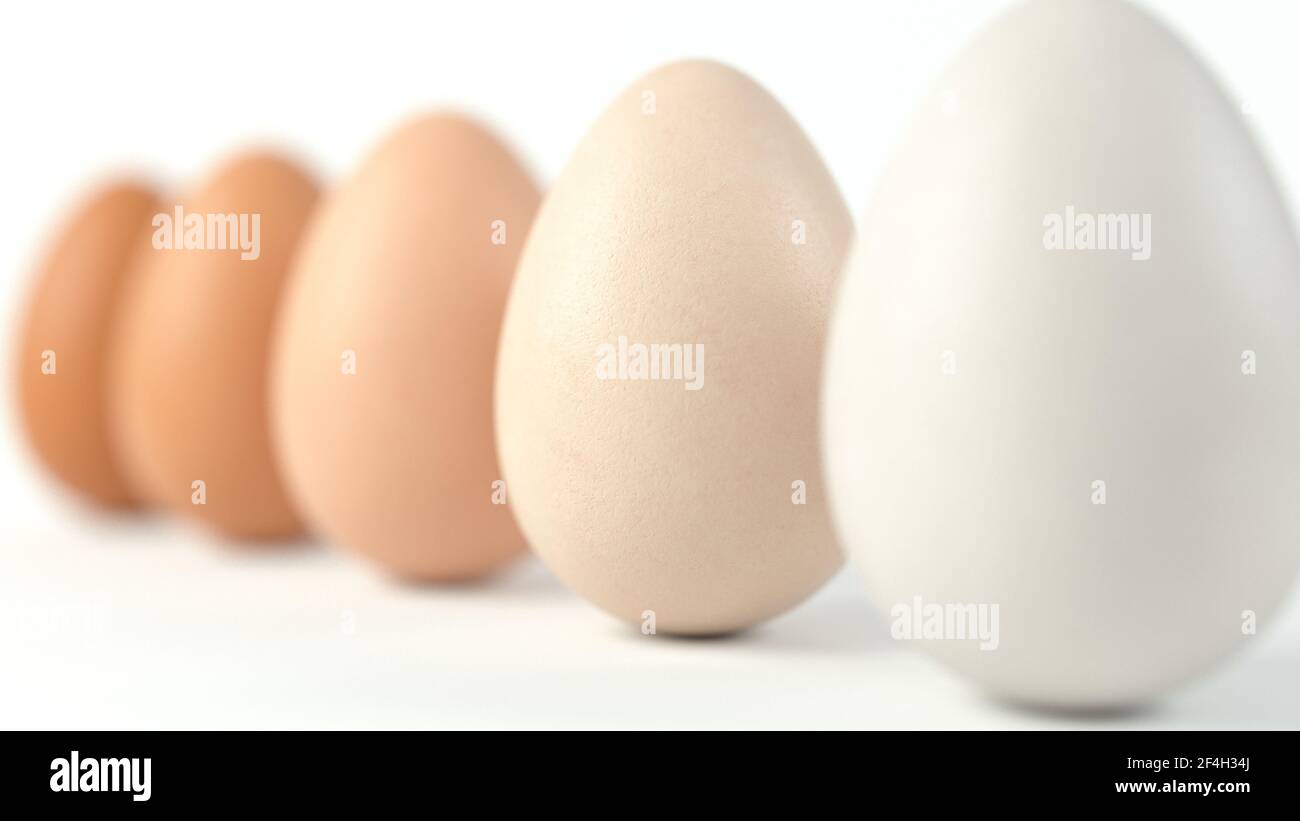 sorted five shades of egg. different colors of egg sorted in a row. 3d ...