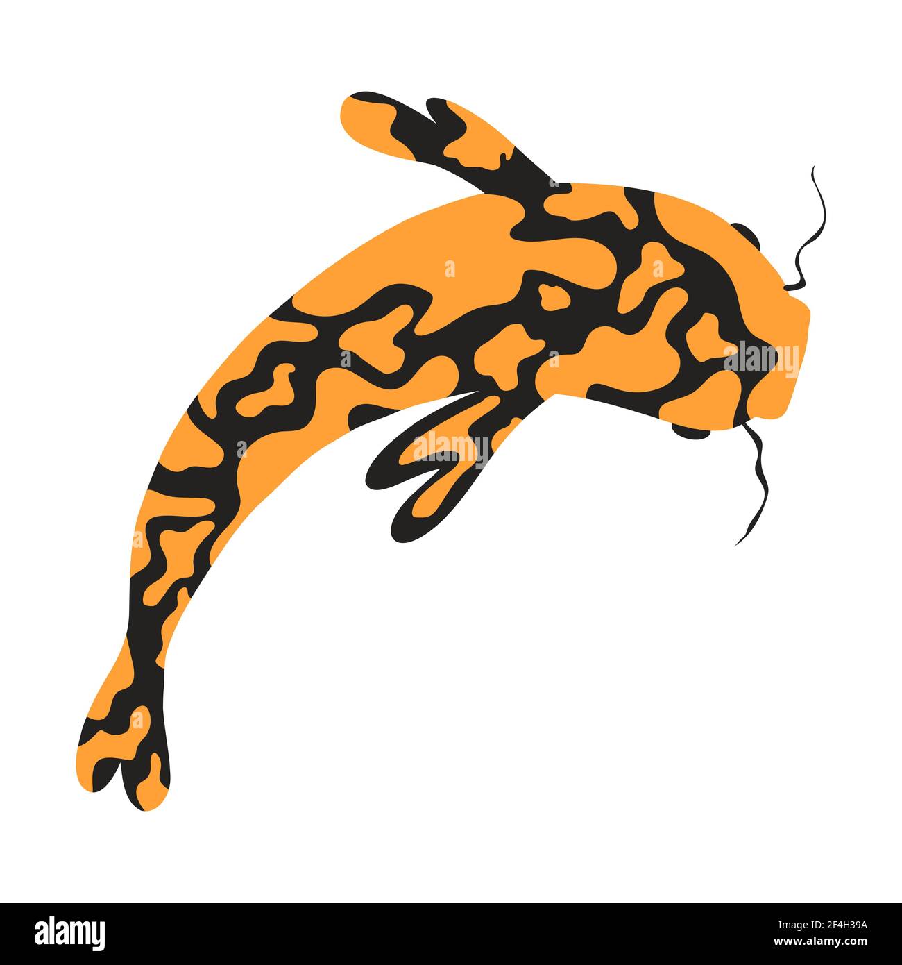 Koi carp orange goldfish Cut Out Stock Images & Pictures - Alamy