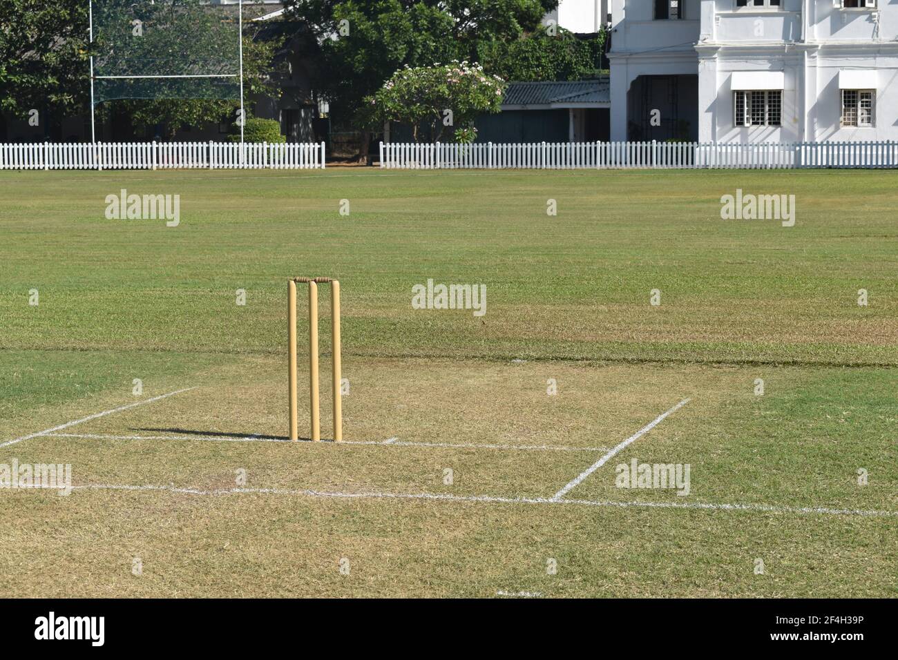 The stumps. Picturistic school cricket ground. St. Thomas College, Mt ...