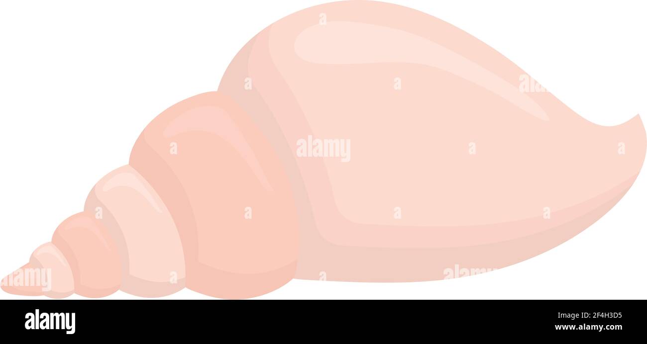 pink seashell isolated Stock Vector Image & Art - Alamy