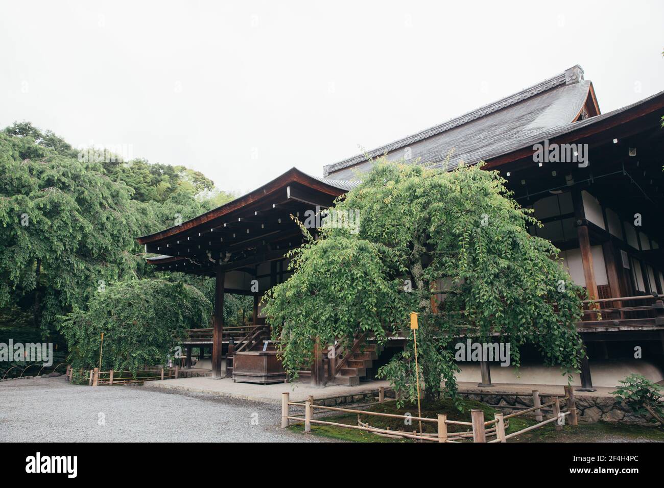 Japanese temple with japanese maple tree leaves in Kyoto vintage film ...