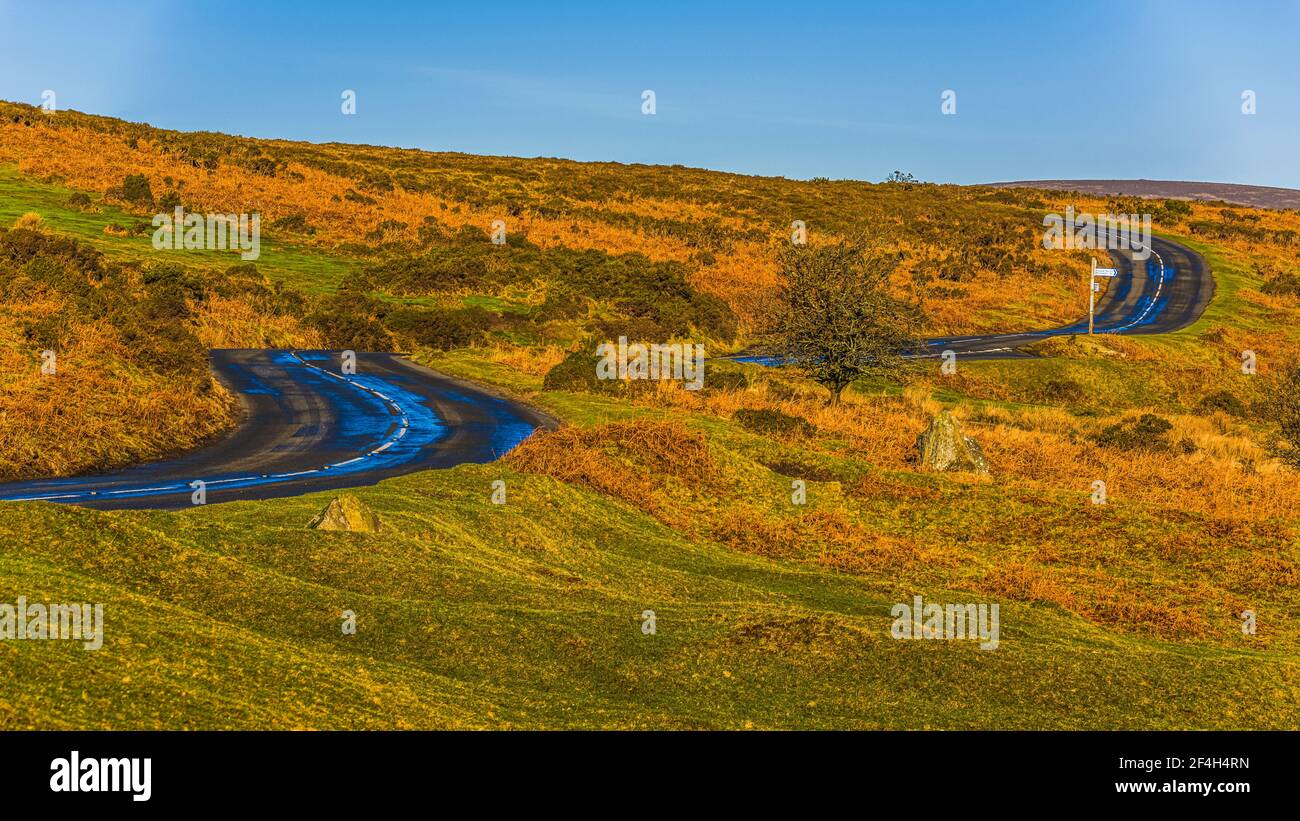 Fields and meadows in Haytor Rocks, Dartmoor Park, Widecombe in the ...