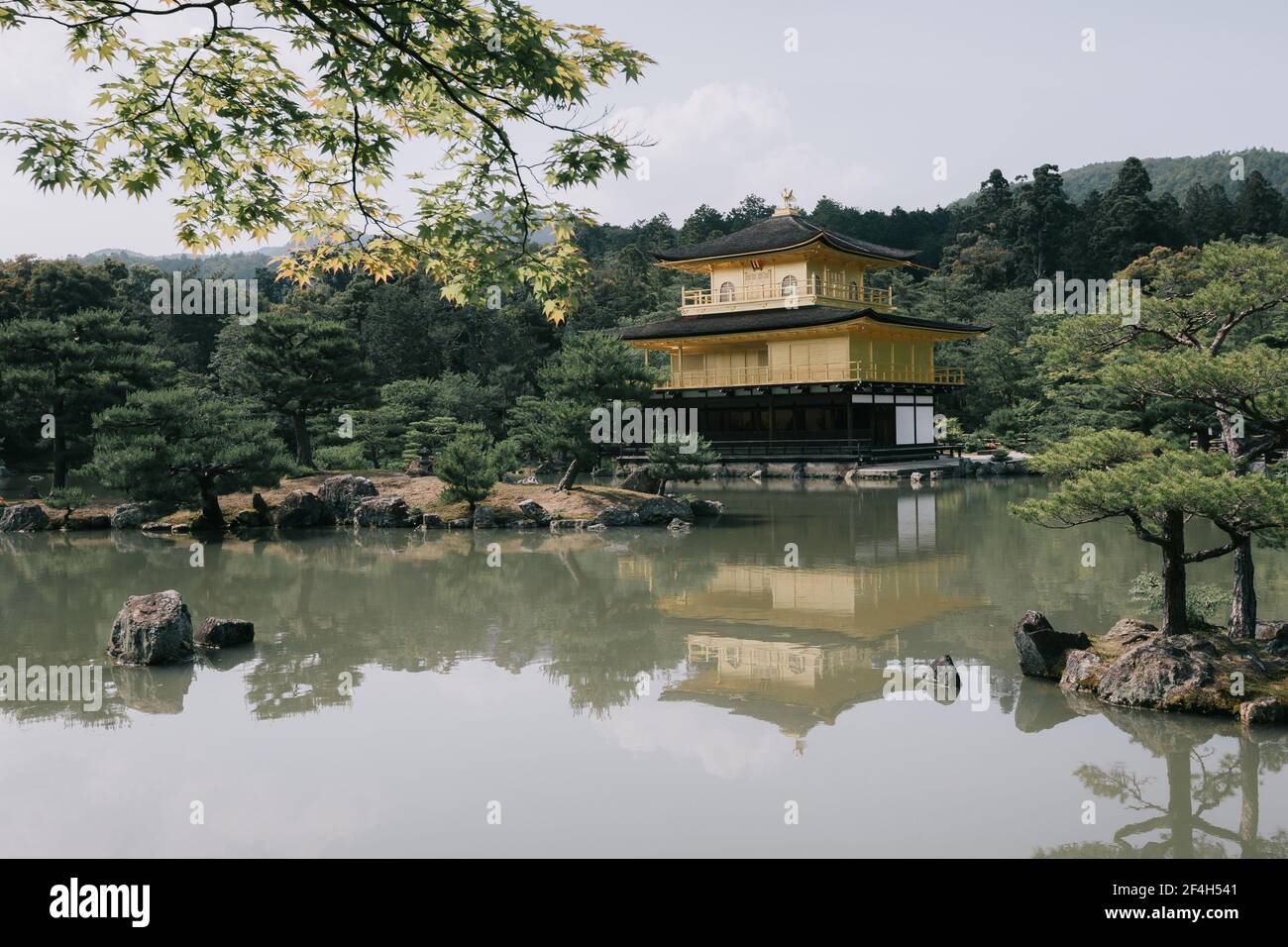 Japanese temple with japanese maple tree leaves in Kyoto vintage film ...