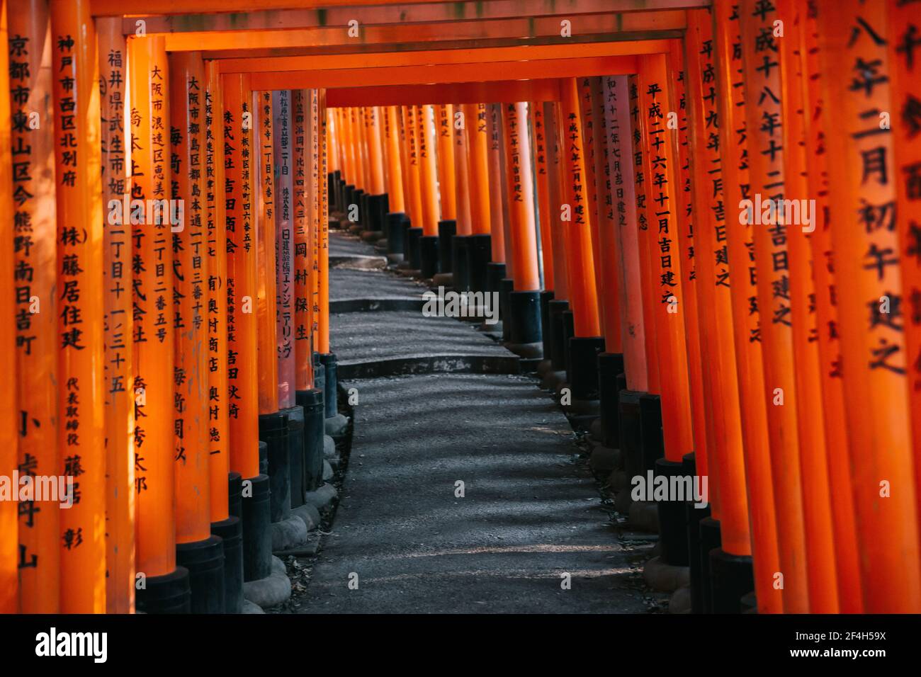 Pathway torii gates at Fushimi Inari Shrine at night and rain Kyoto ...