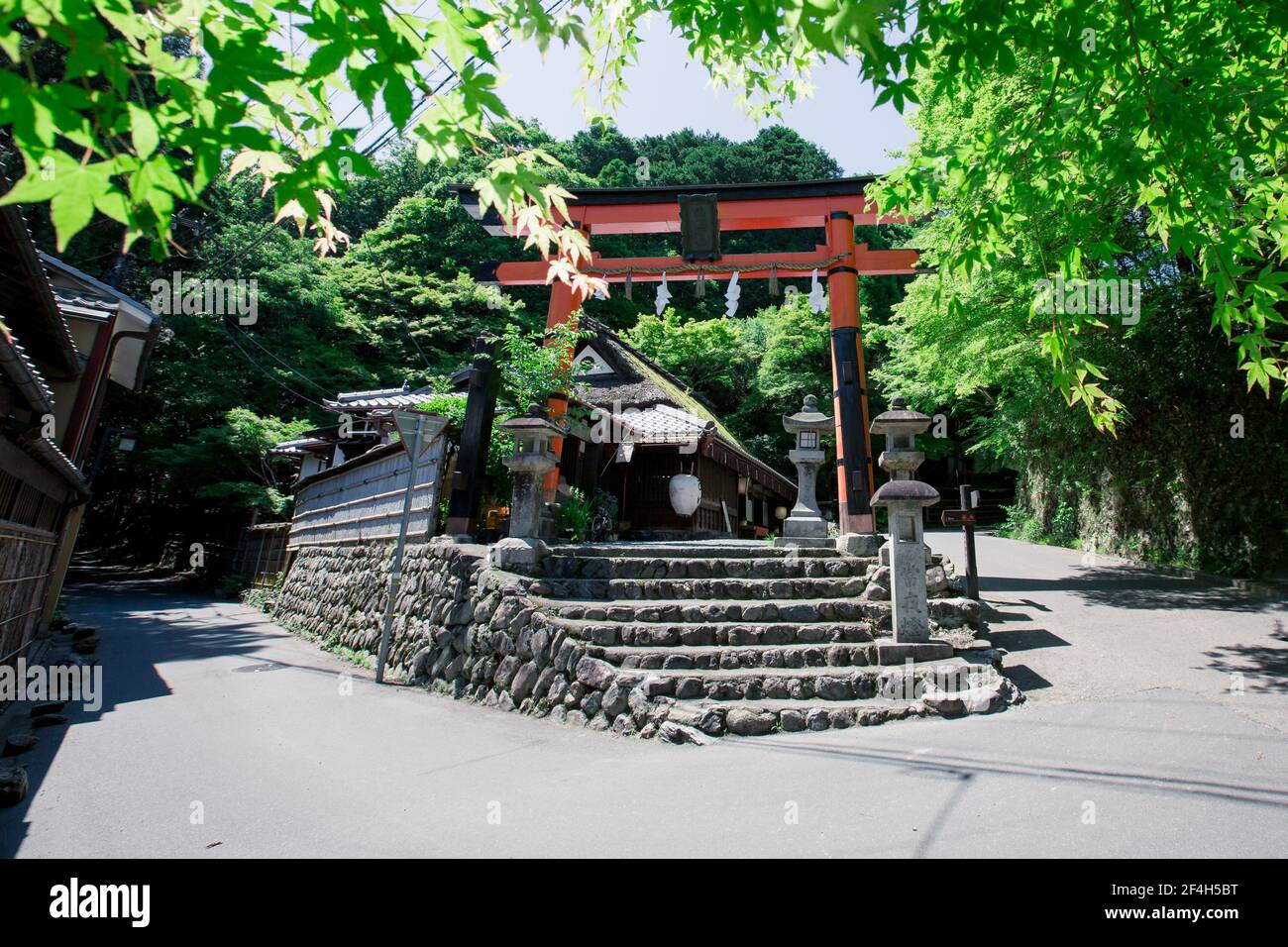 Japanese temple with japanese maple tree leaves in Kyoto vintage film ...