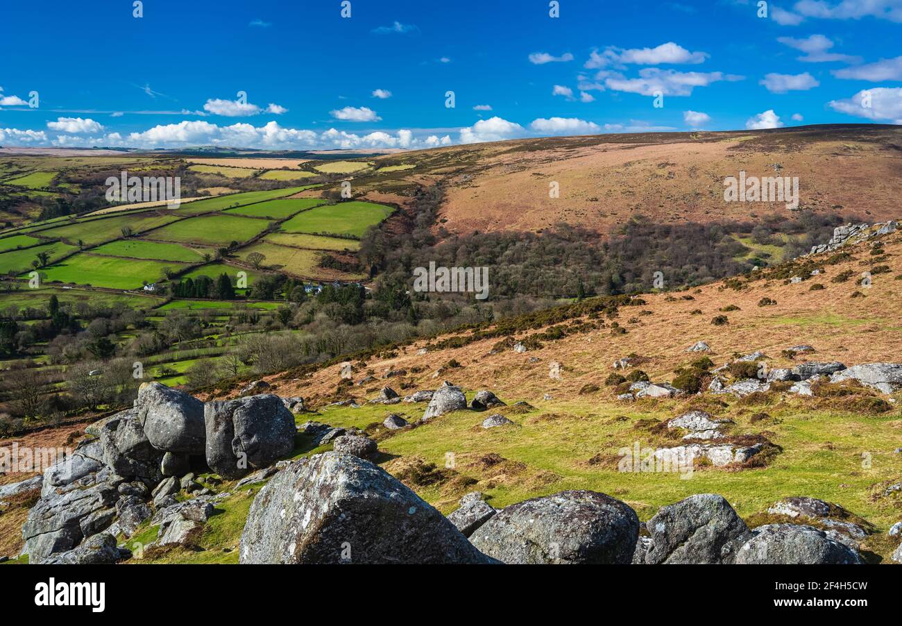 Fields and meadows in Haytor Rocks, Dartmoor Park, Widecombe in the ...