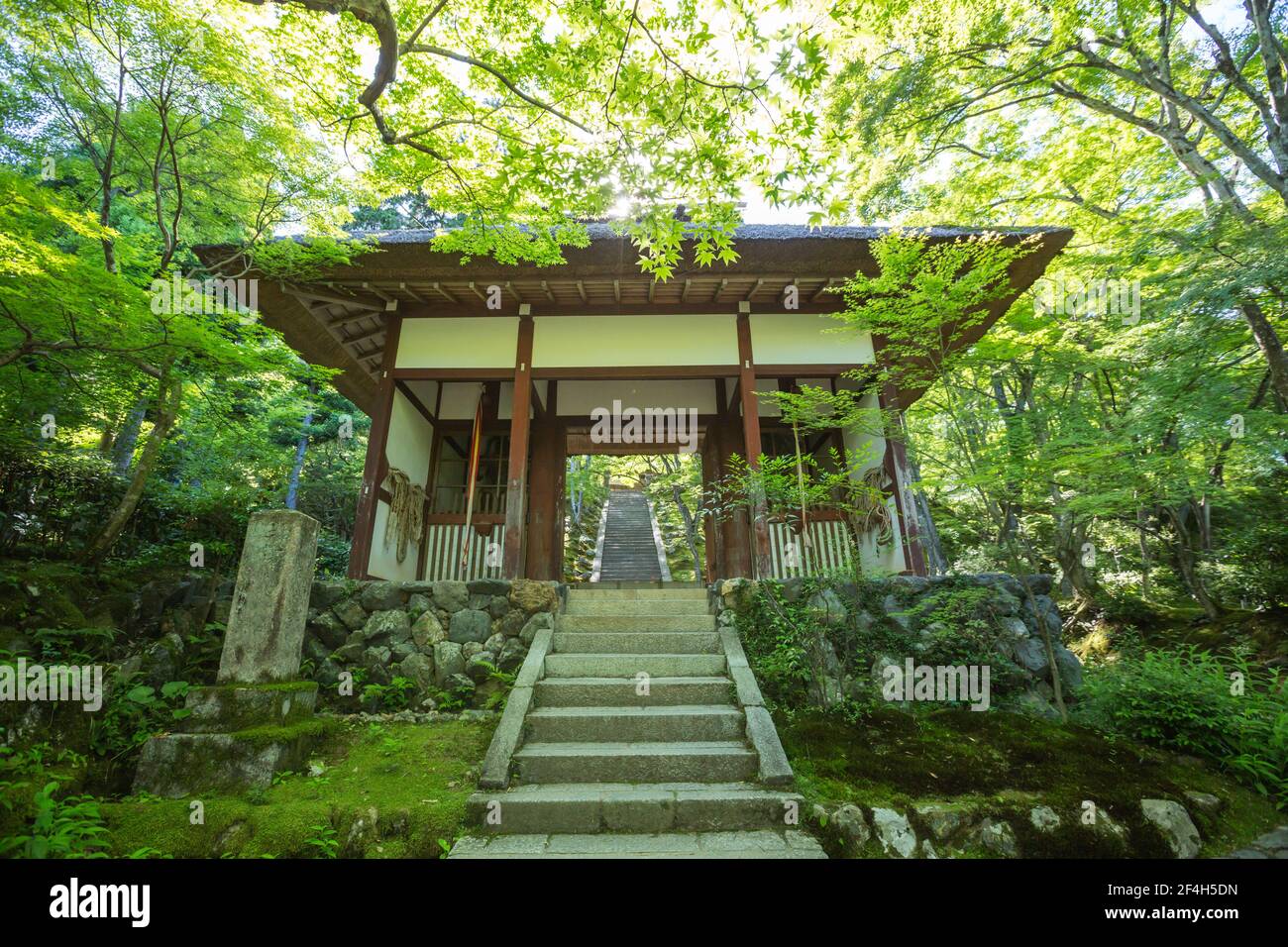 Japanese temple with japanese maple tree leaves in Kyoto vintage film ...