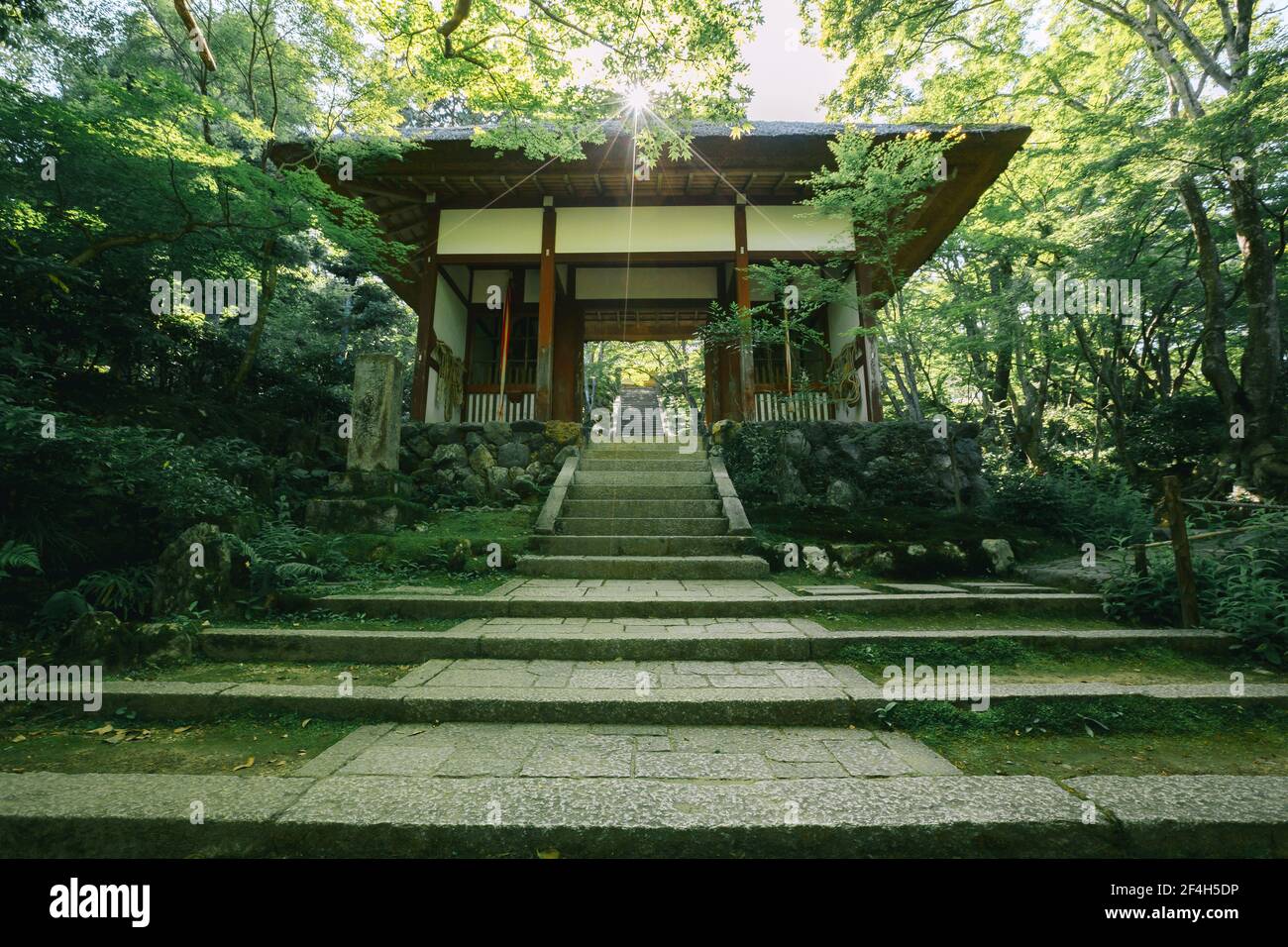 Japanese temple with japanese maple tree leaves in Kyoto vintage film ...