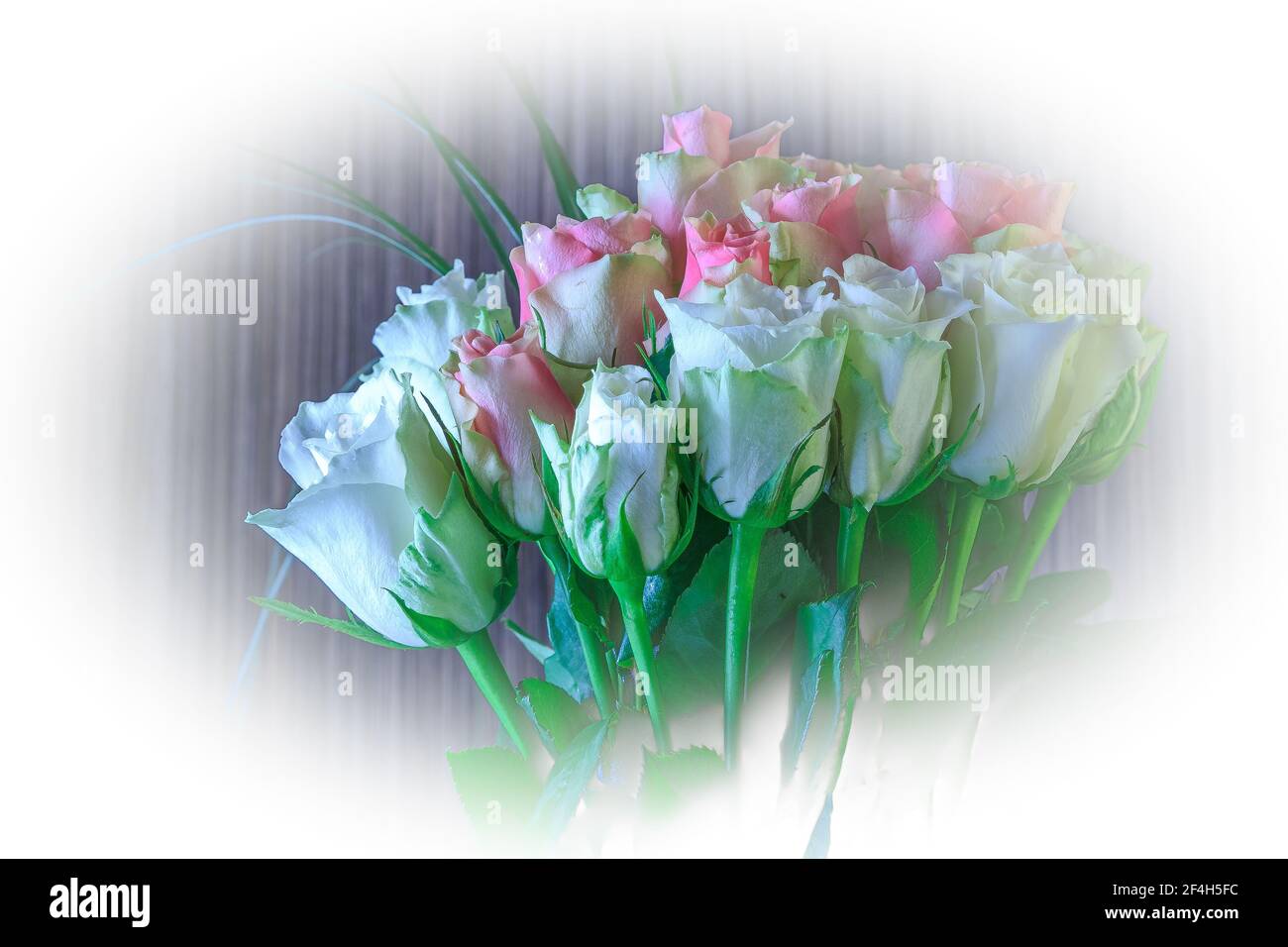 big bouquet of white and pink roses for different occasions, wishes and ...