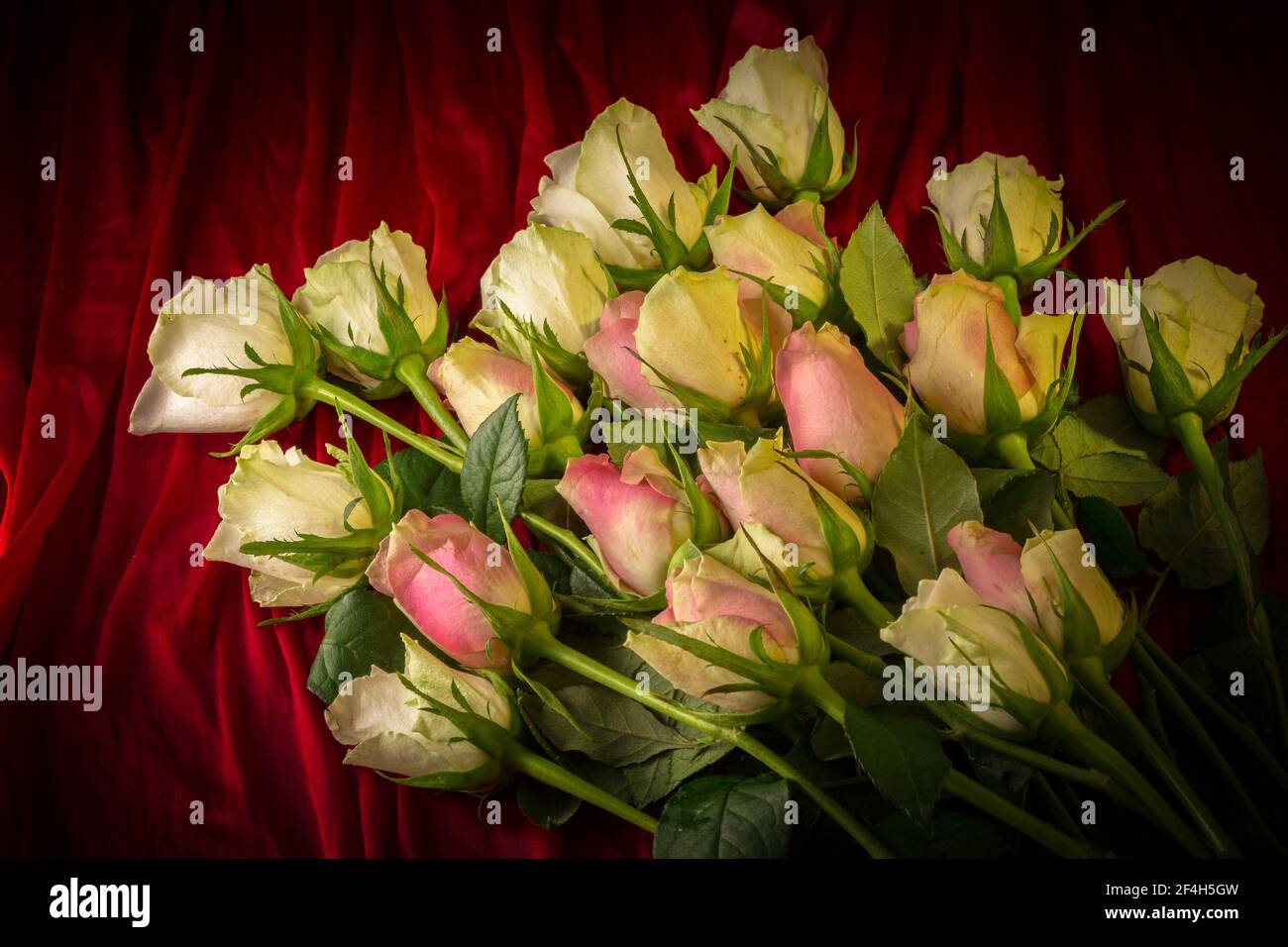 big bouquet of white and pink roses for different occasions, wishes and ...
