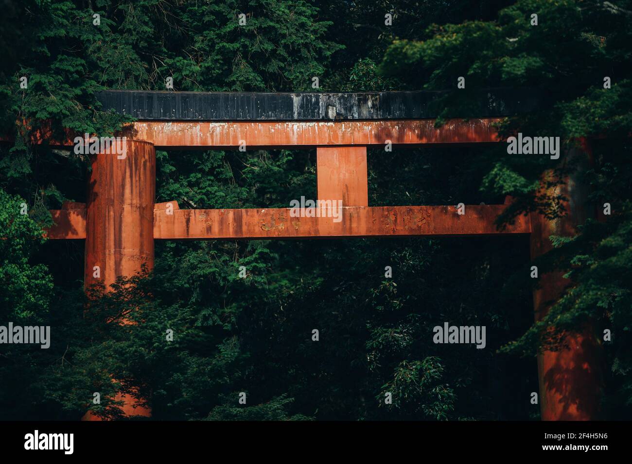 Pathway torii gates with green leaves background Stock Photo - Alamy