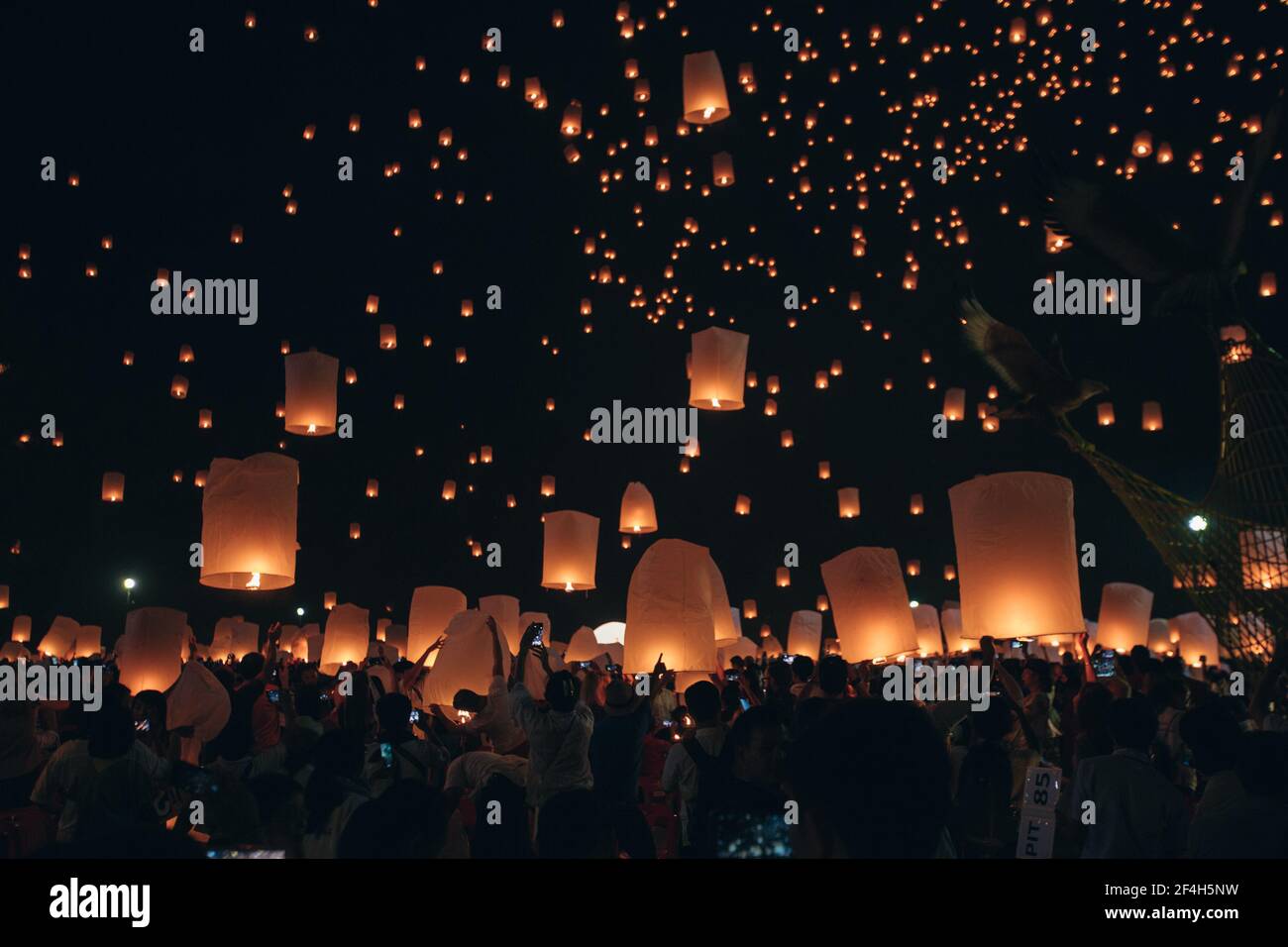 Floating lantern in night Chiang mai Thailand Stock Photo - Alamy