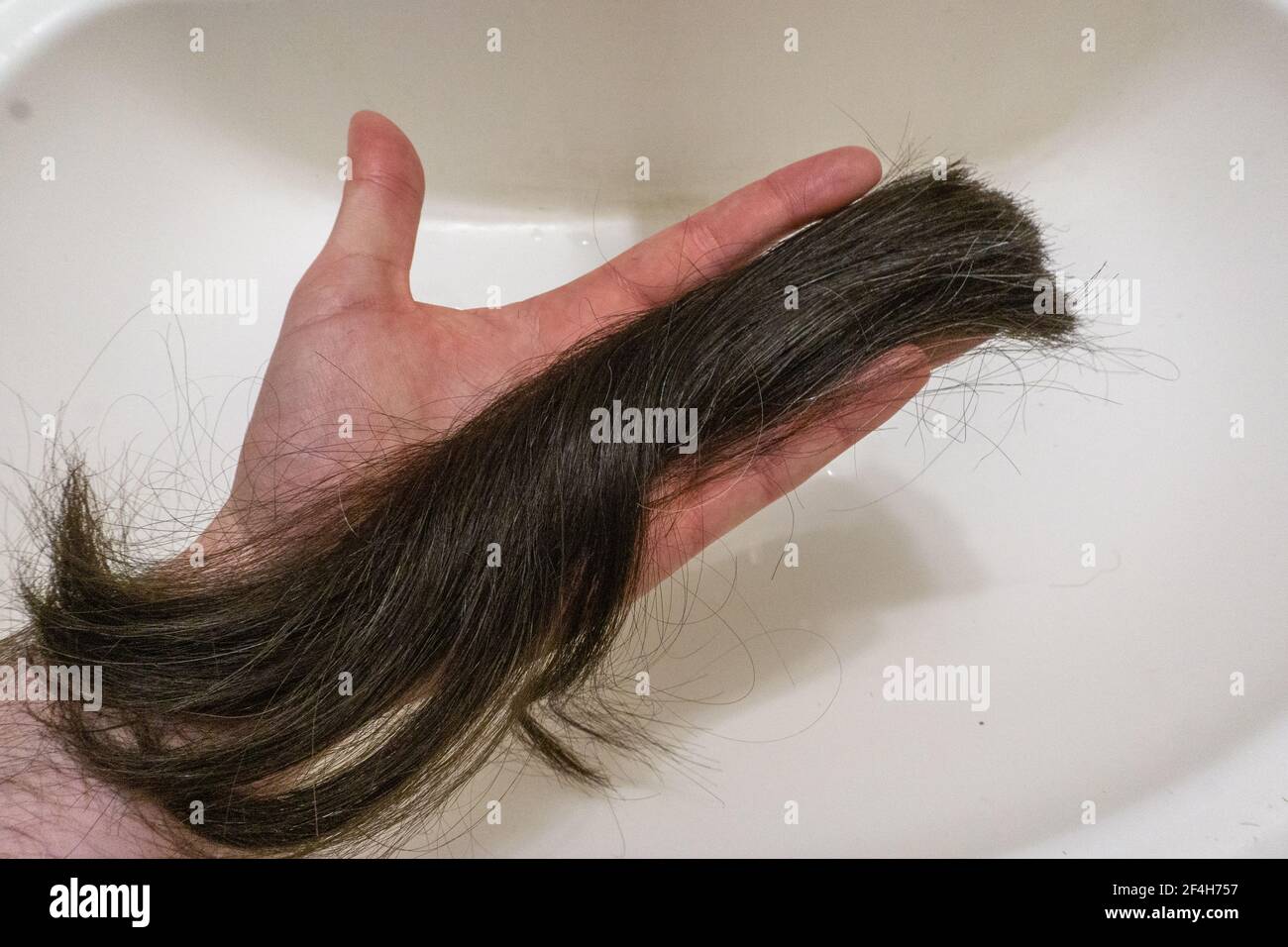Locks of hair in hand after shaving head for quarantine haircut Stock ...