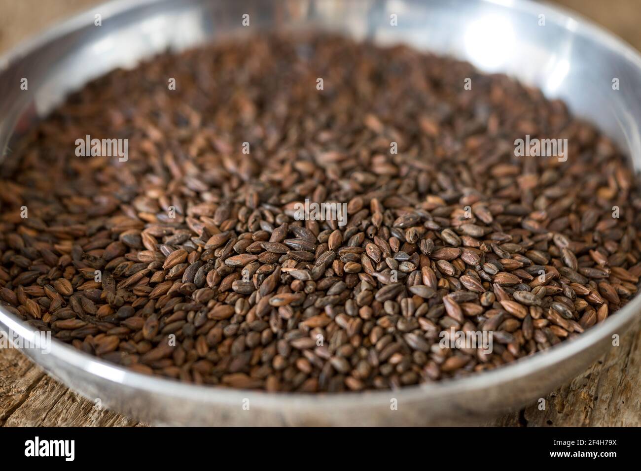 roasted barley for home brewing Stock Photo - Alamy