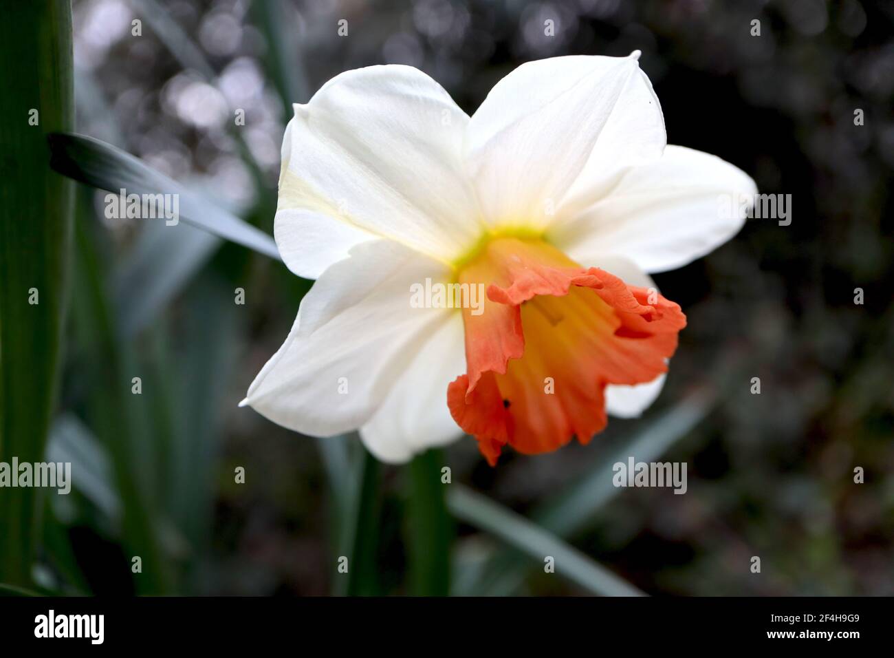 Long march 2 hi-res stock photography and images - Alamy