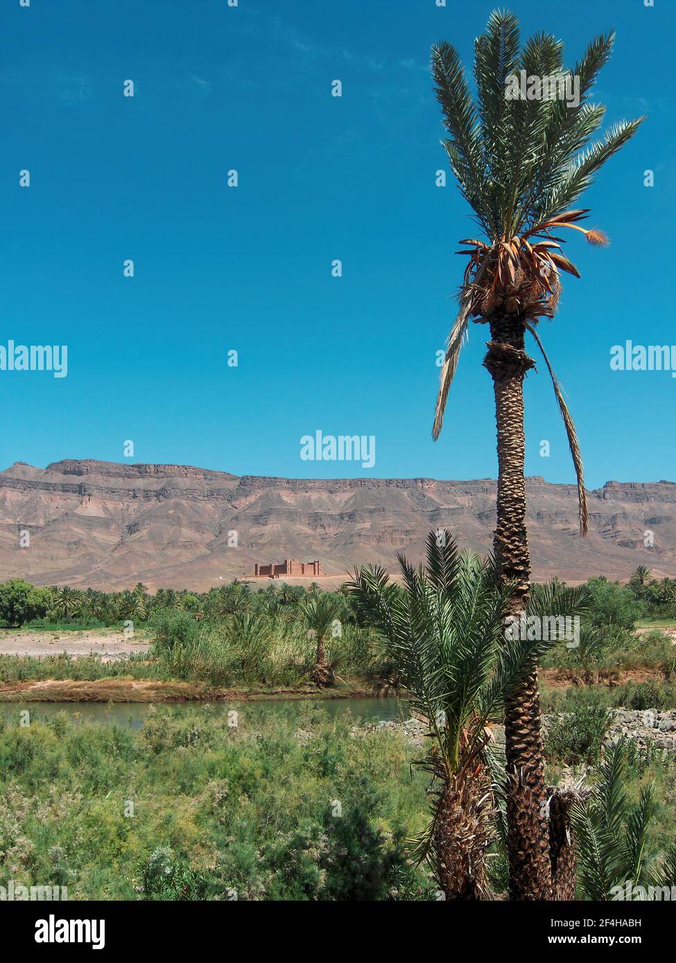 Beautiful landscape in southern Morocco. Palm trees in the foreground ...