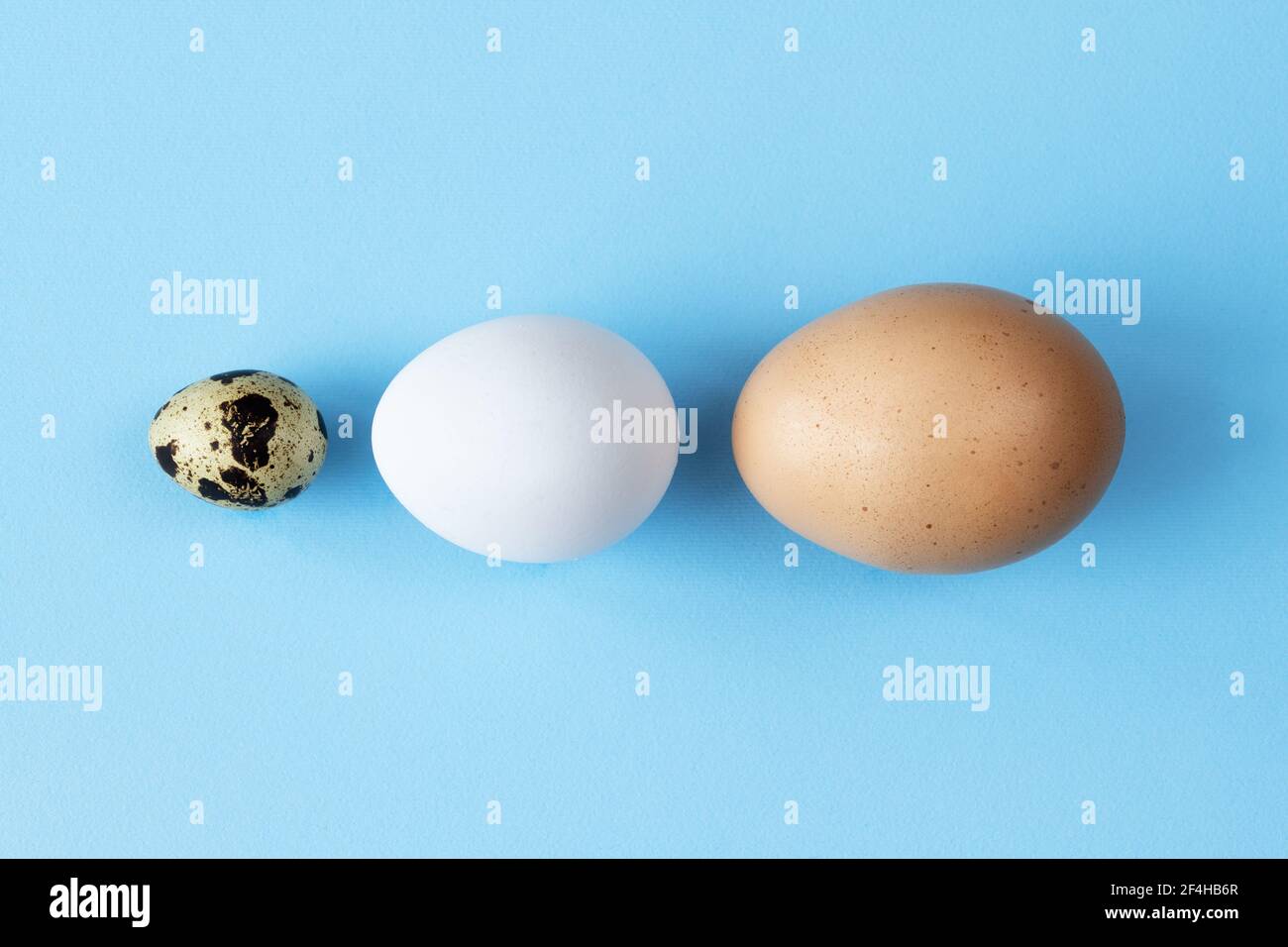 Three type of different birds eggs isolated on blue paper background ...