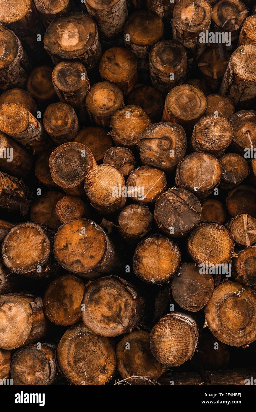 Pile of firewood logs of different sizes stacked together in ...