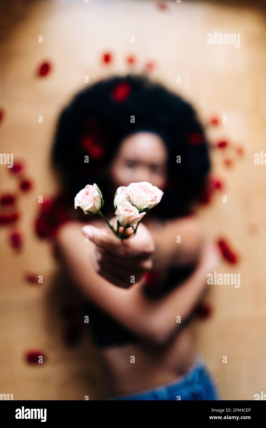 Rose lying on the floor hi-res stock photography and images - Alamy