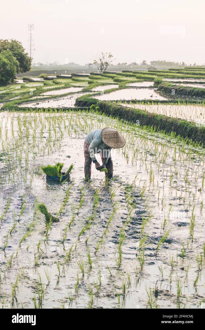 Workpeople hi-res stock photography and images - Alamy