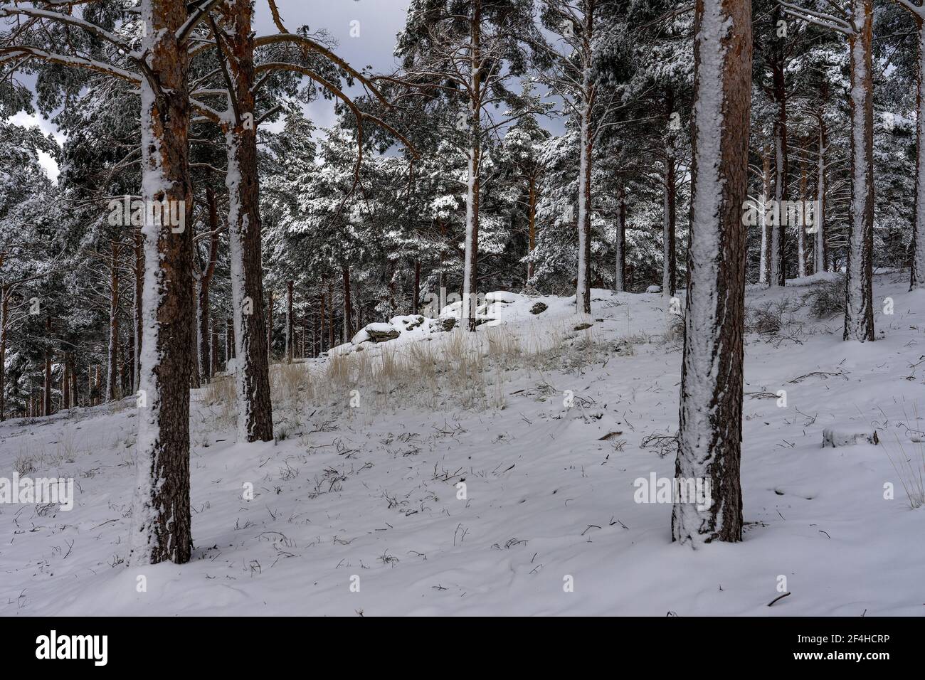 Salamanca spain countryside hi-res stock photography and images - Alamy