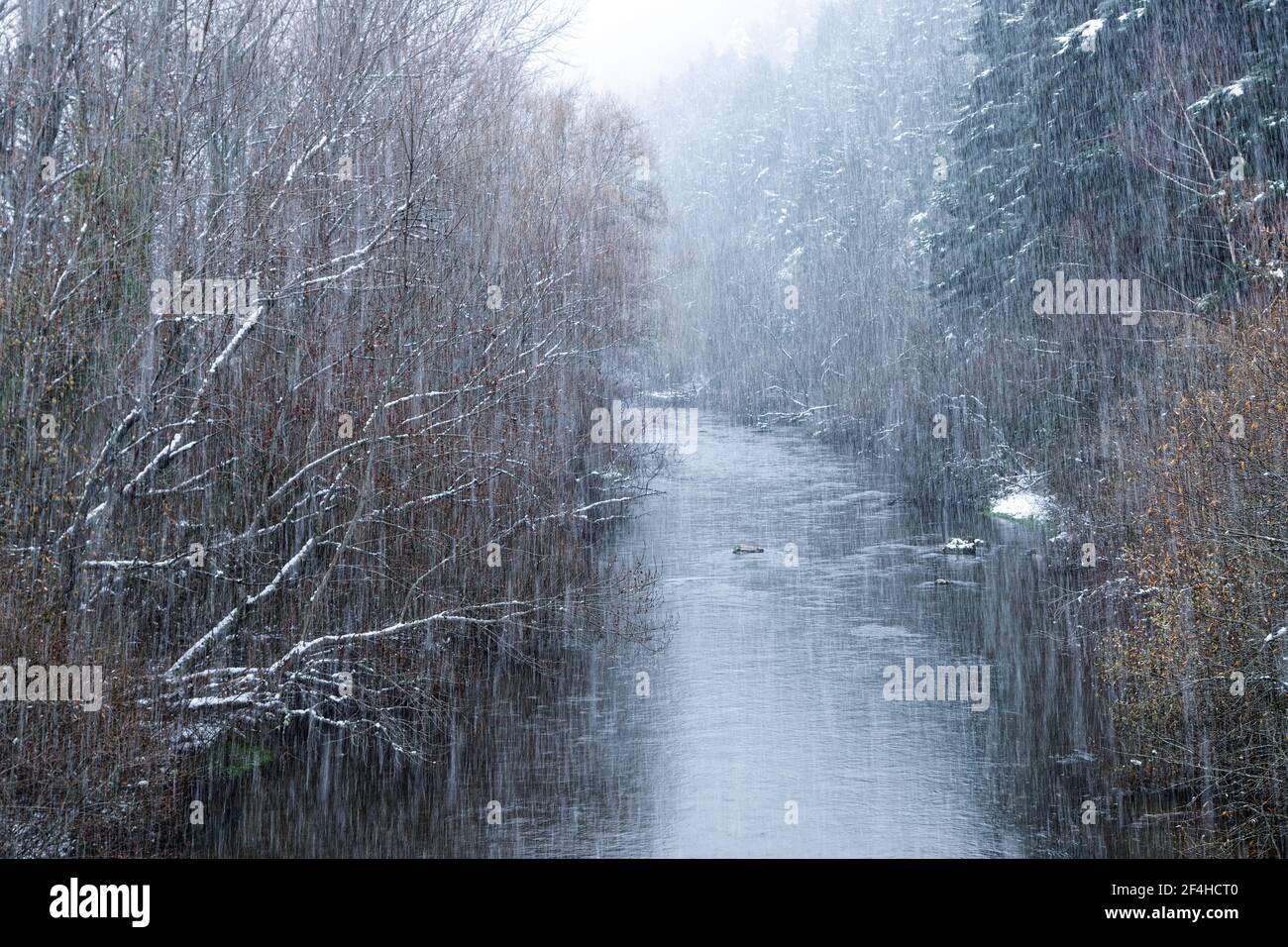 Discover winter scene hi-res stock photography and images - Alamy