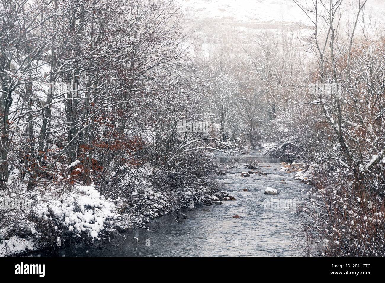 Discover winter scene hi-res stock photography and images - Alamy