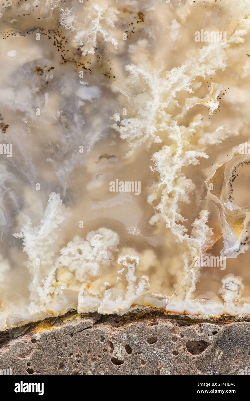 White plume agate hi-res stock photography and images - Alamy