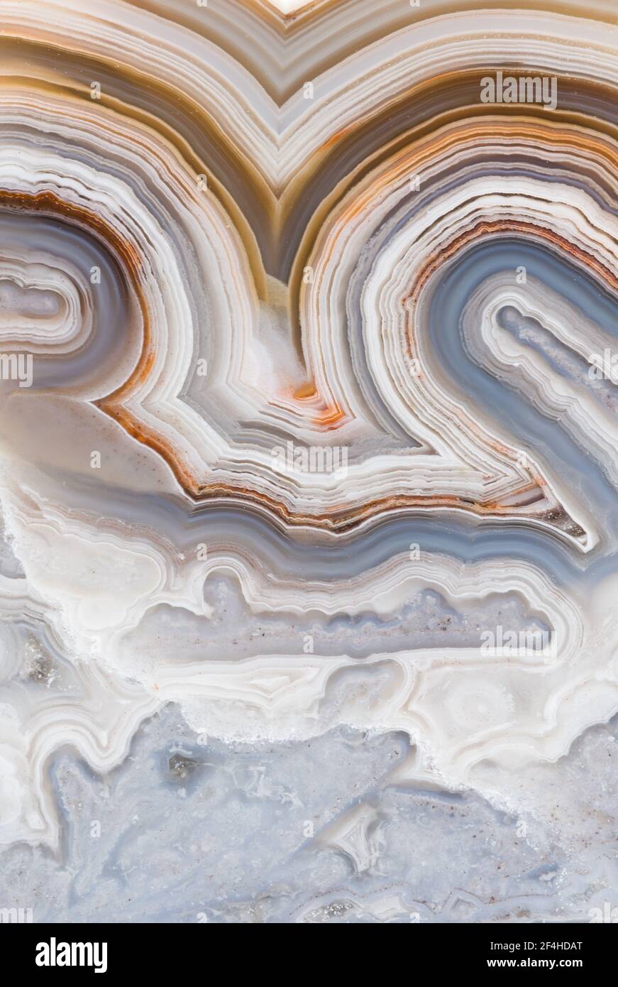 Macro photograph of the banding pattern in a Crazy Lace agate from ...