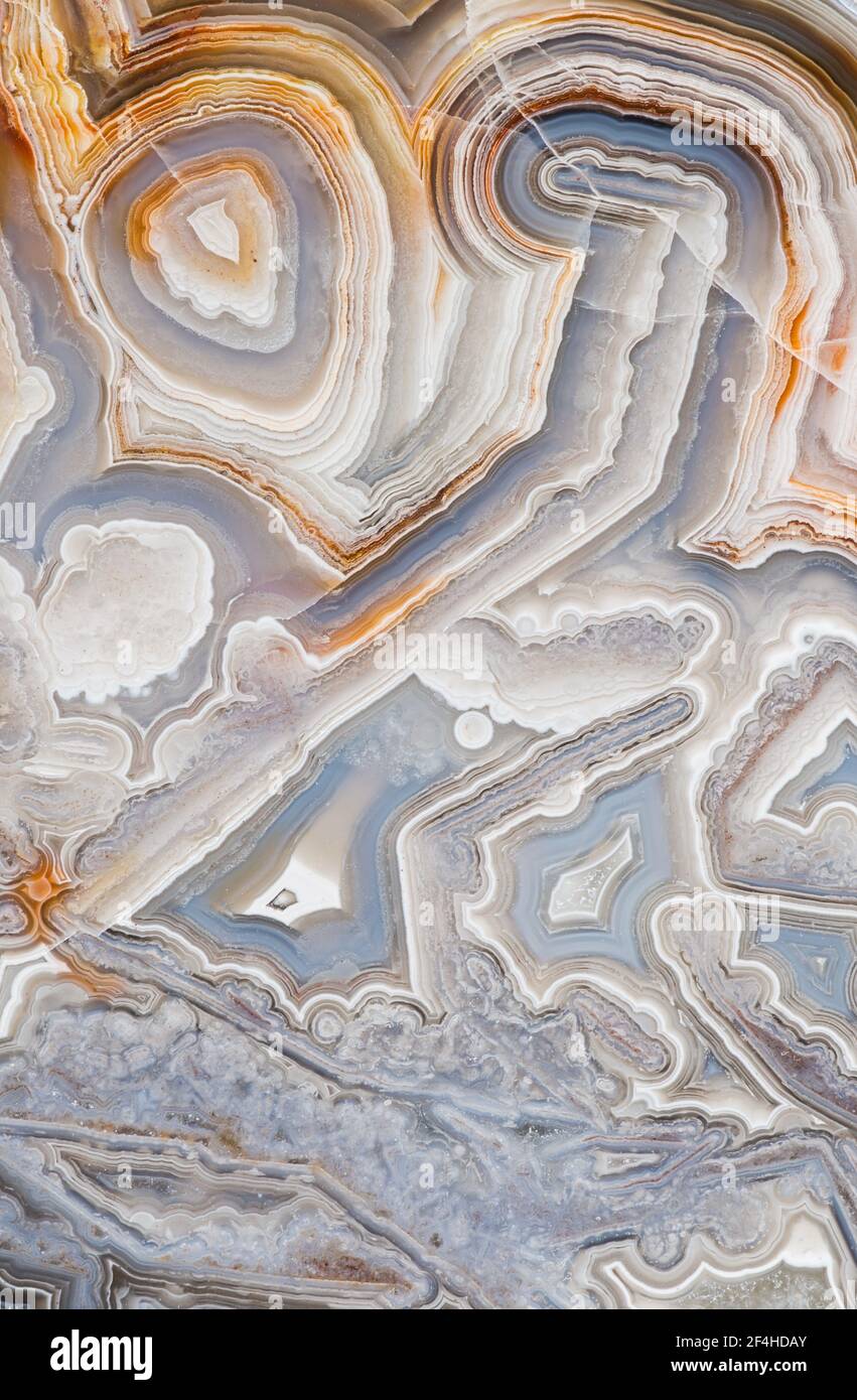 Macro photograph of the banding pattern in a Crazy Lace agate from ...