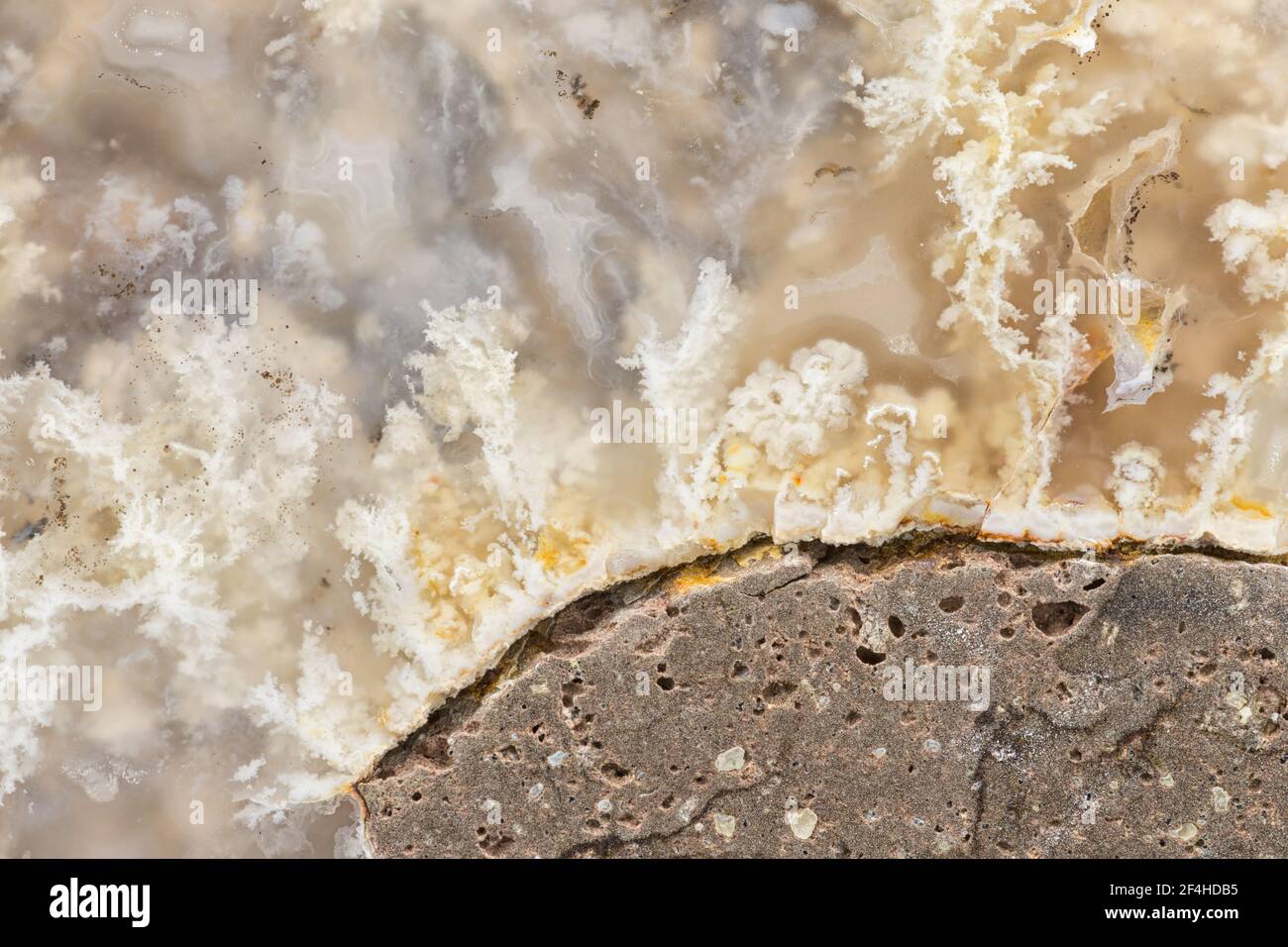White plume agate hi-res stock photography and images - Alamy